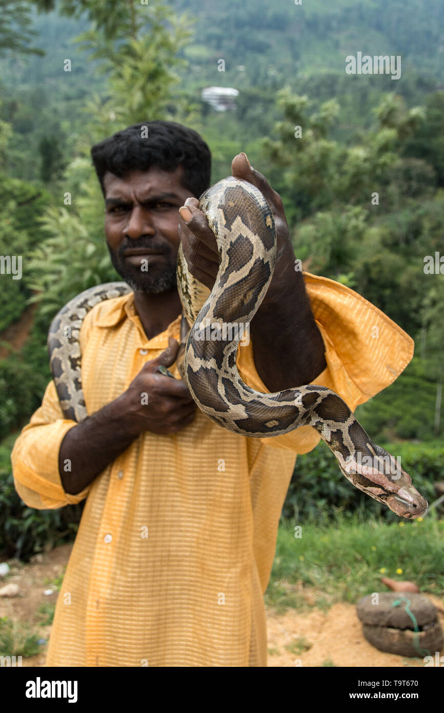 Sri Lanka trip, day 8: at our stop on the road from Kandy to Nuwara ...