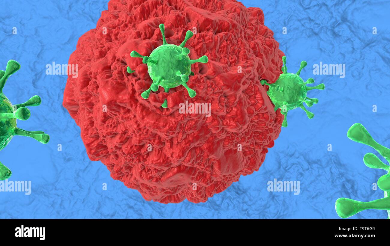 3d illustration of the absorption of viruses by immune cell in the ...