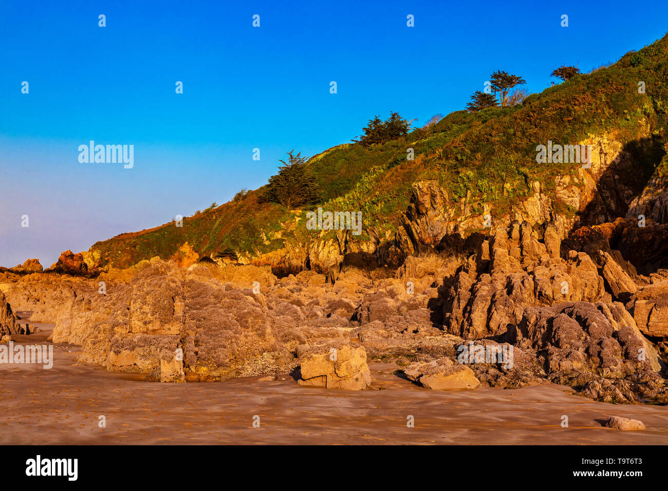 Wild rocky beach in Brittany on Armor Coastline Stock Photo - Alamy