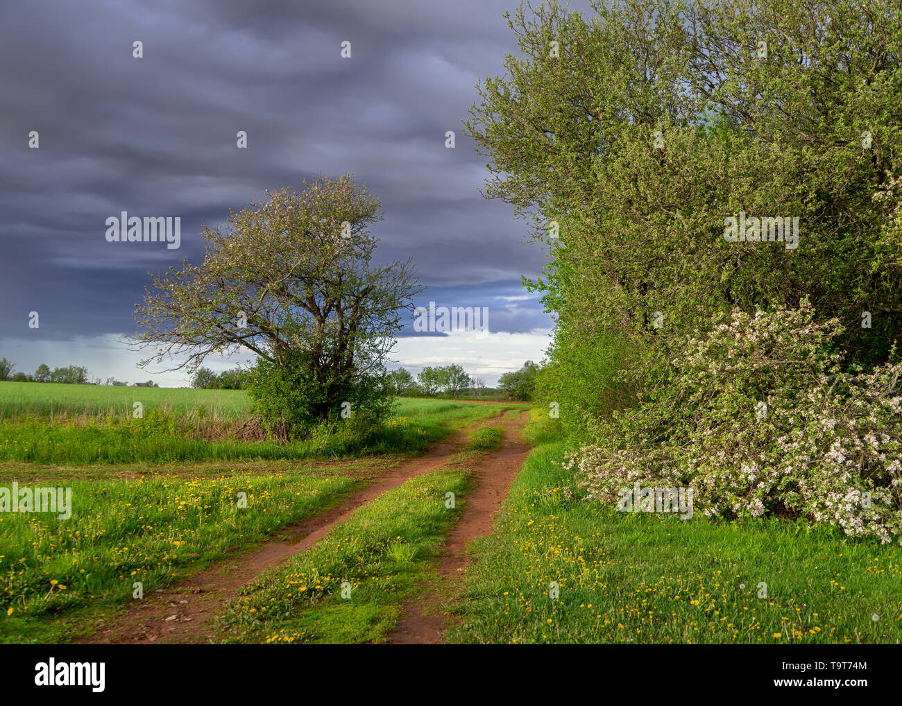 Rural country road landscape hi-res stock photography and images - Alamy