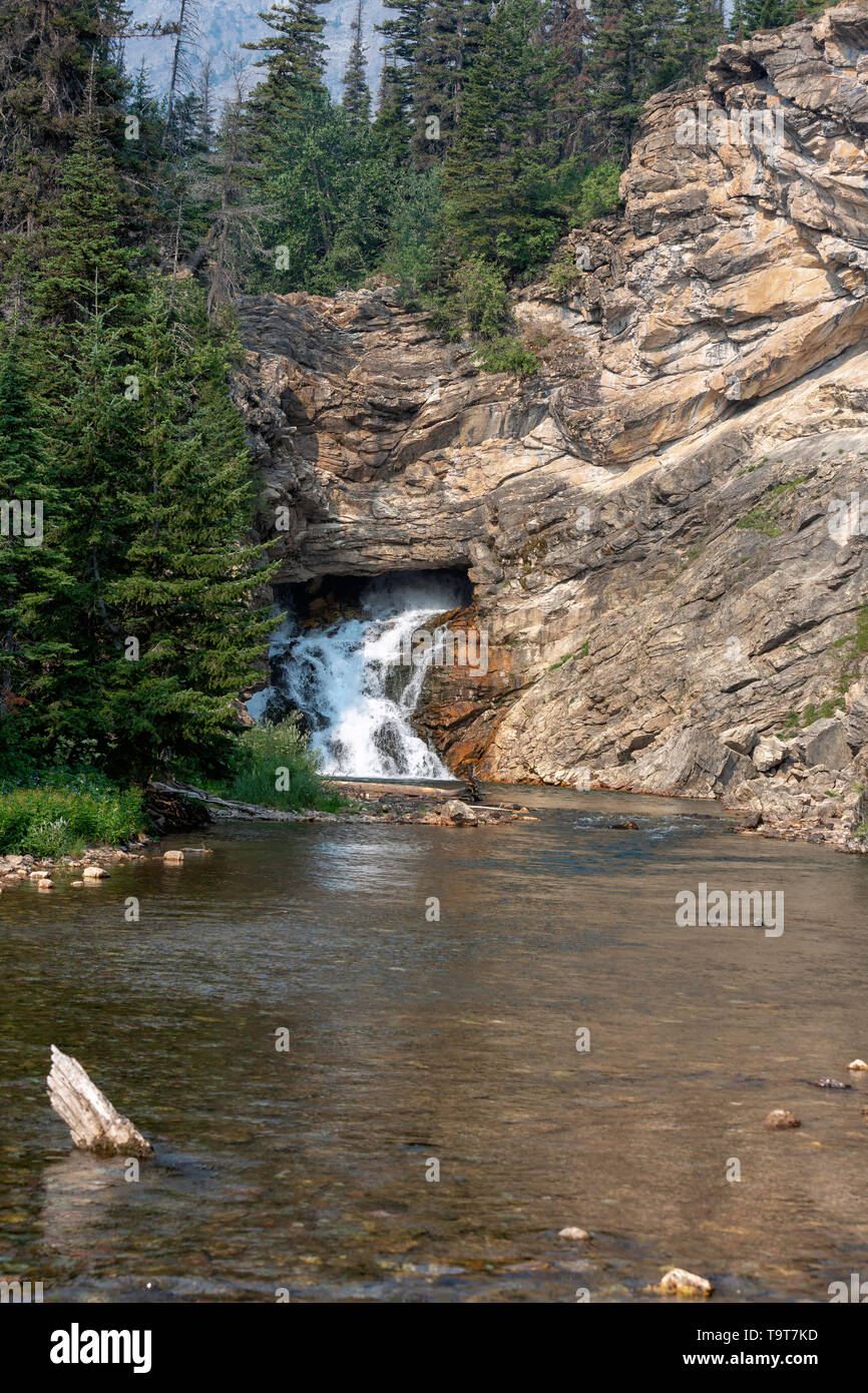 Eagle is running hi-res stock photography and images - Alamy