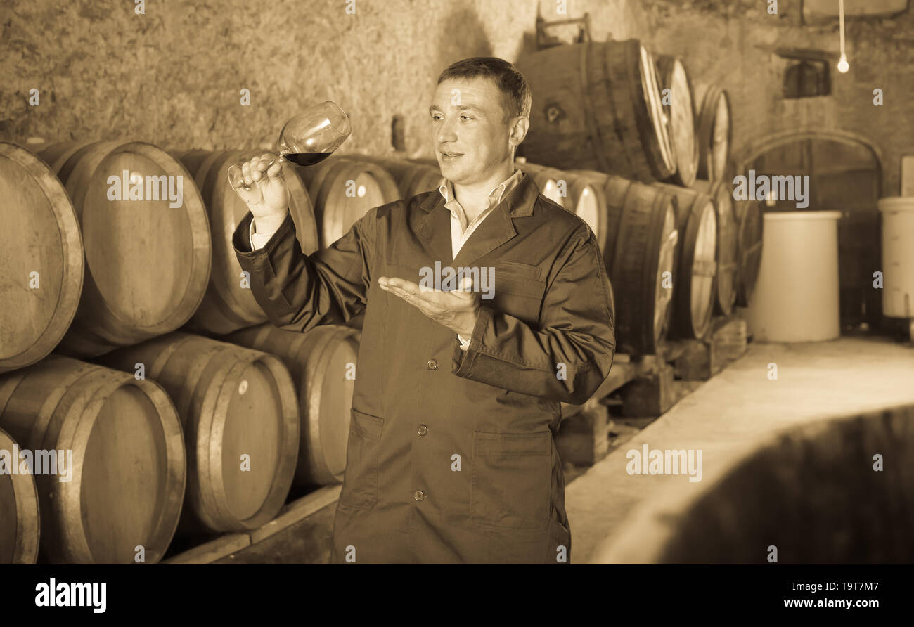 Professional taster posing with glass of wine in winery cellar Stock ...