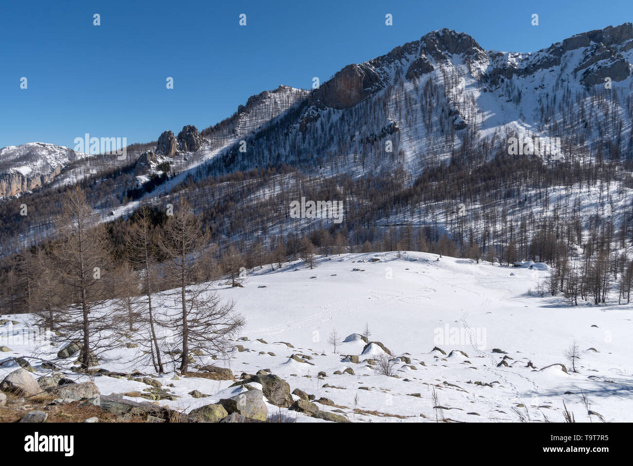 Casterino High Resolution Stock Photography and Images - Alamy