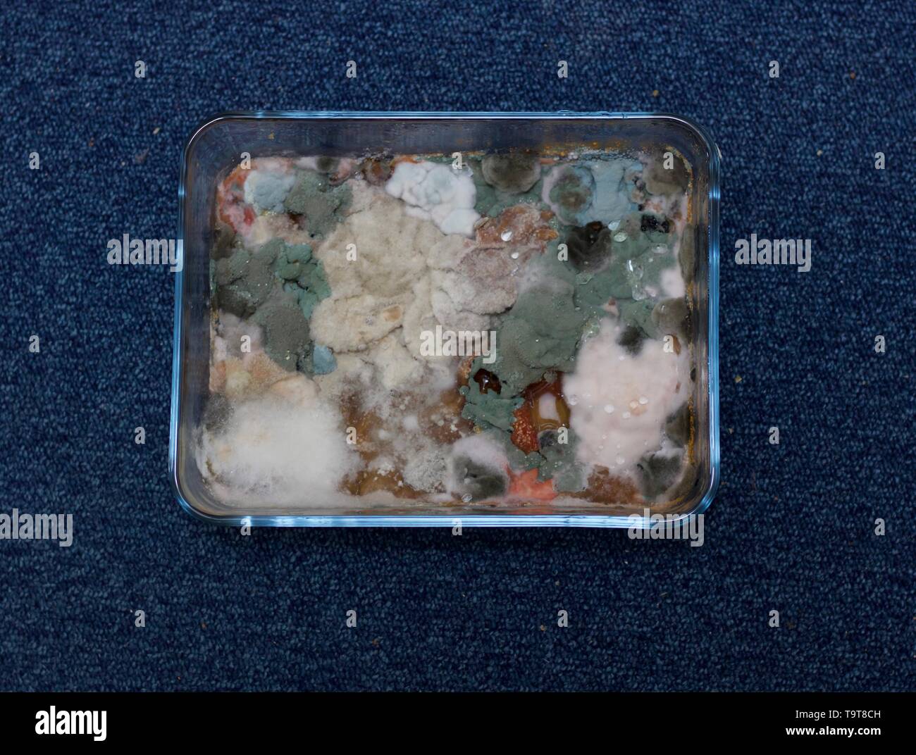 Pyrex dish hi-res stock photography and images - Alamy