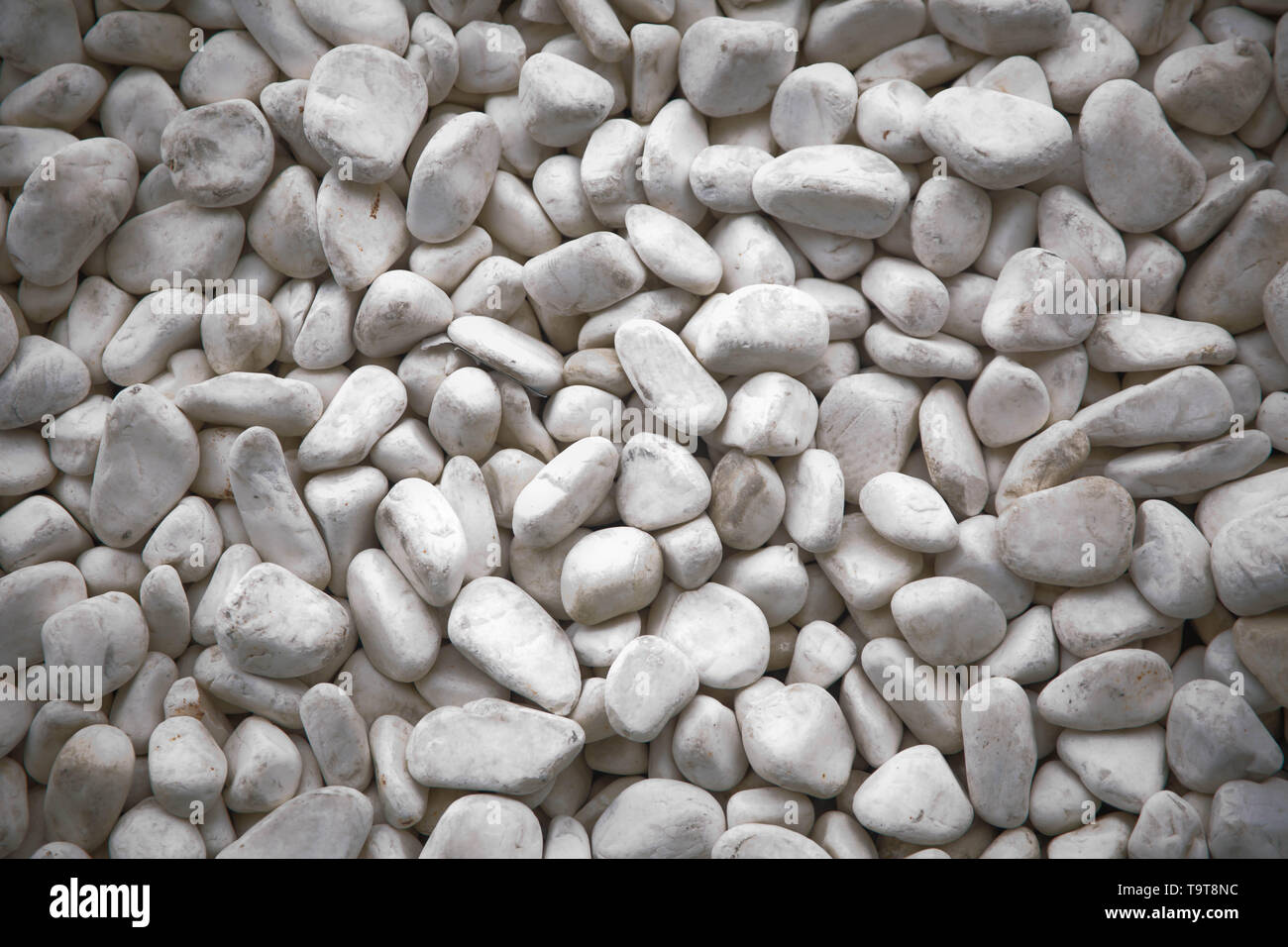 White pebble on the small garden ground inside the house . White pebble ...