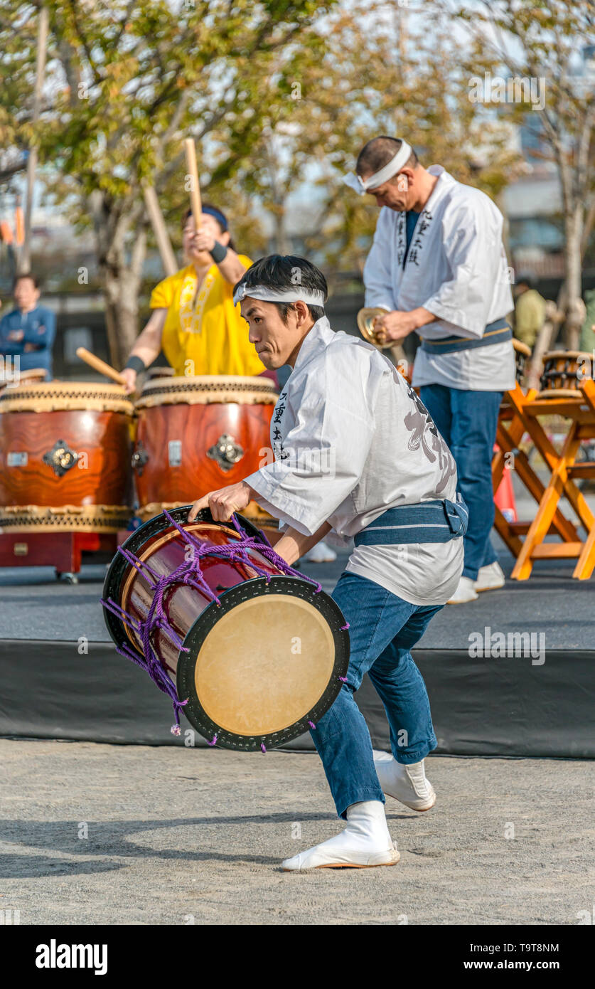 Traditional Japanese Taiko drummer performing at a local competition in ...