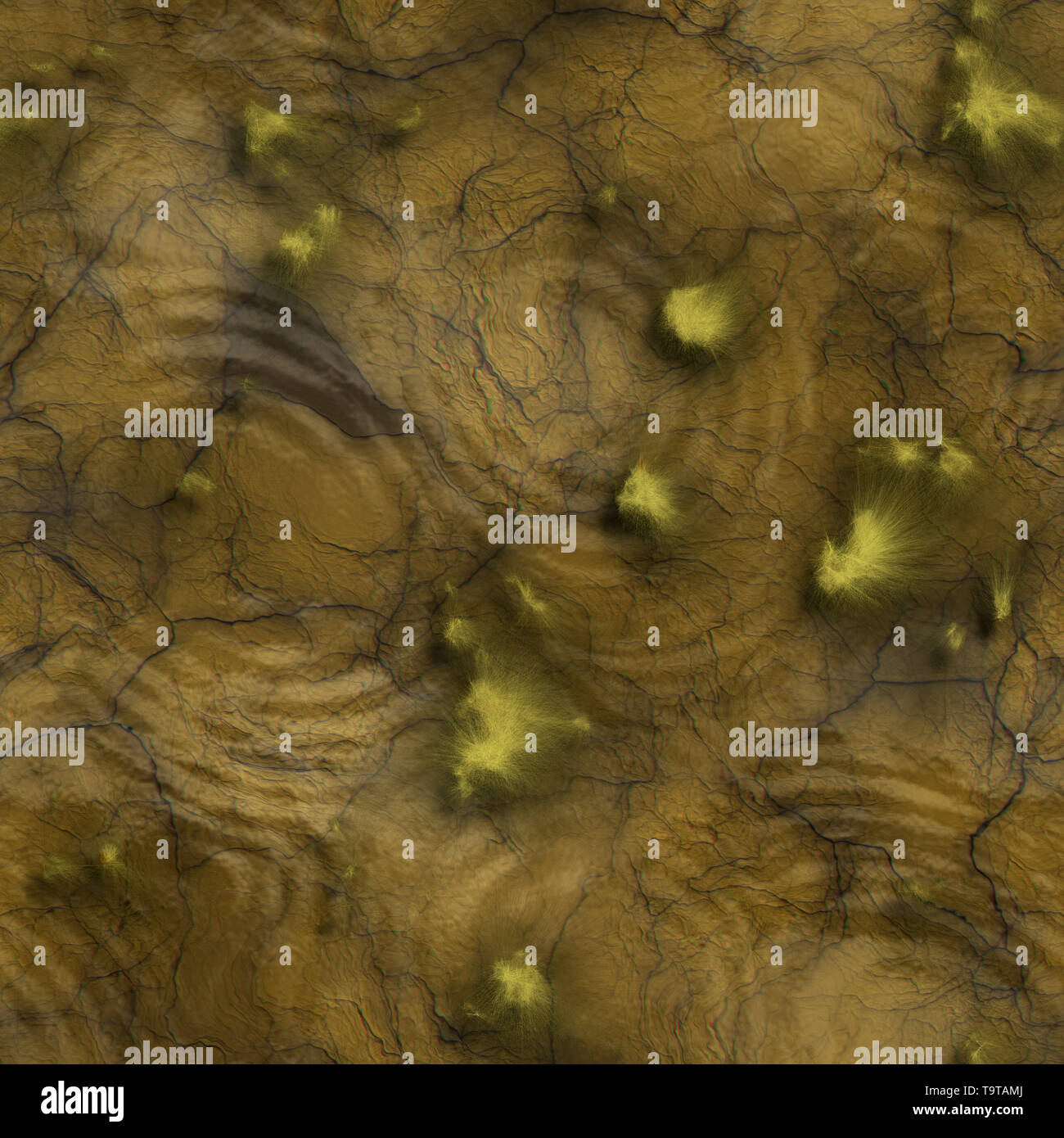 Mud Seamless Texture Tile Stock Photo - Alamy