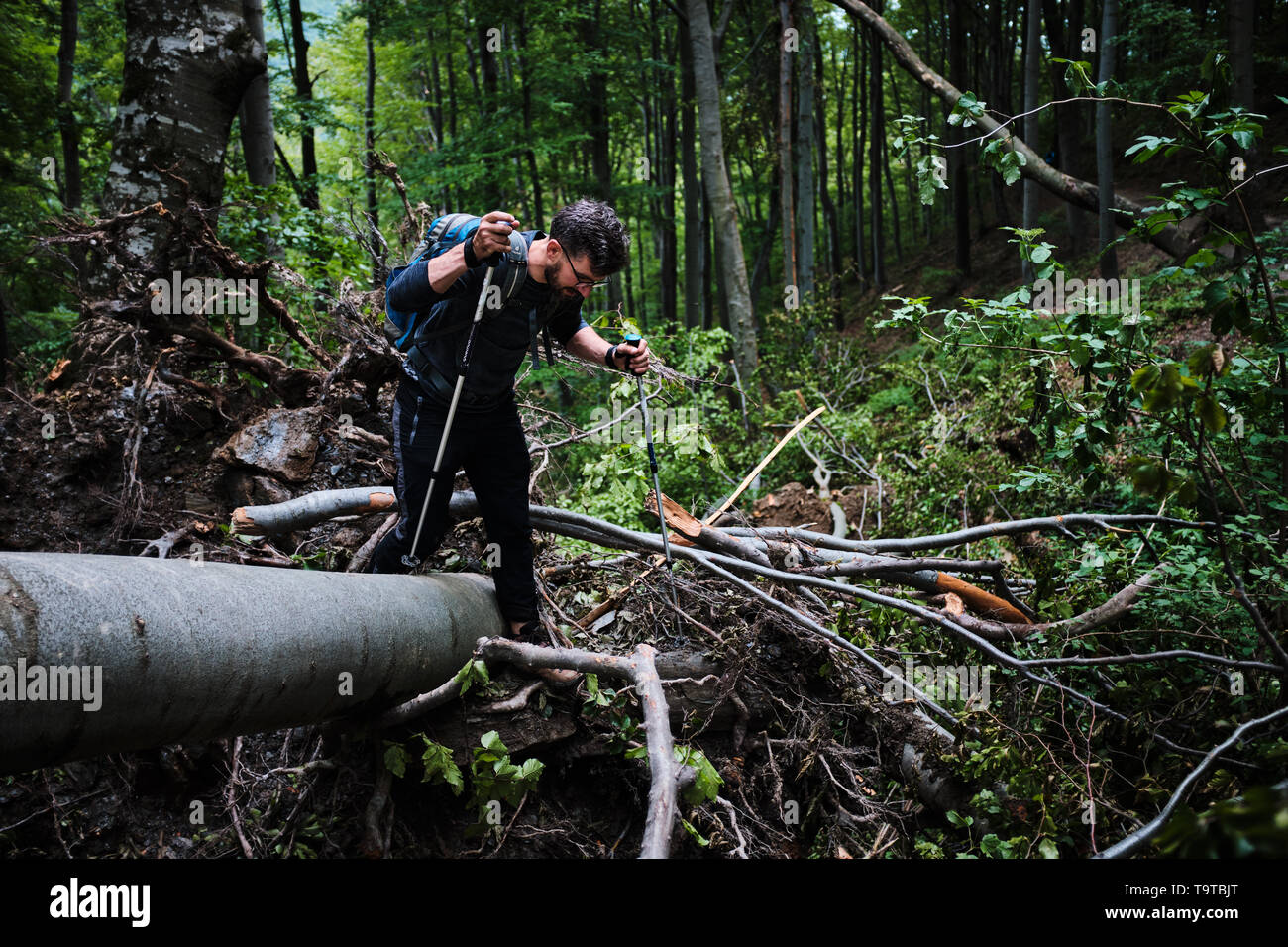 Young male walking through forest hi-res stock photography and images ...