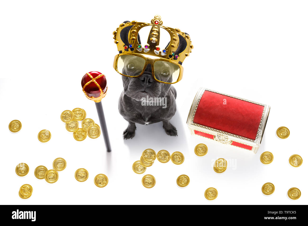 Medieval french coin Cut Out Stock Images & Pictures - Alamy