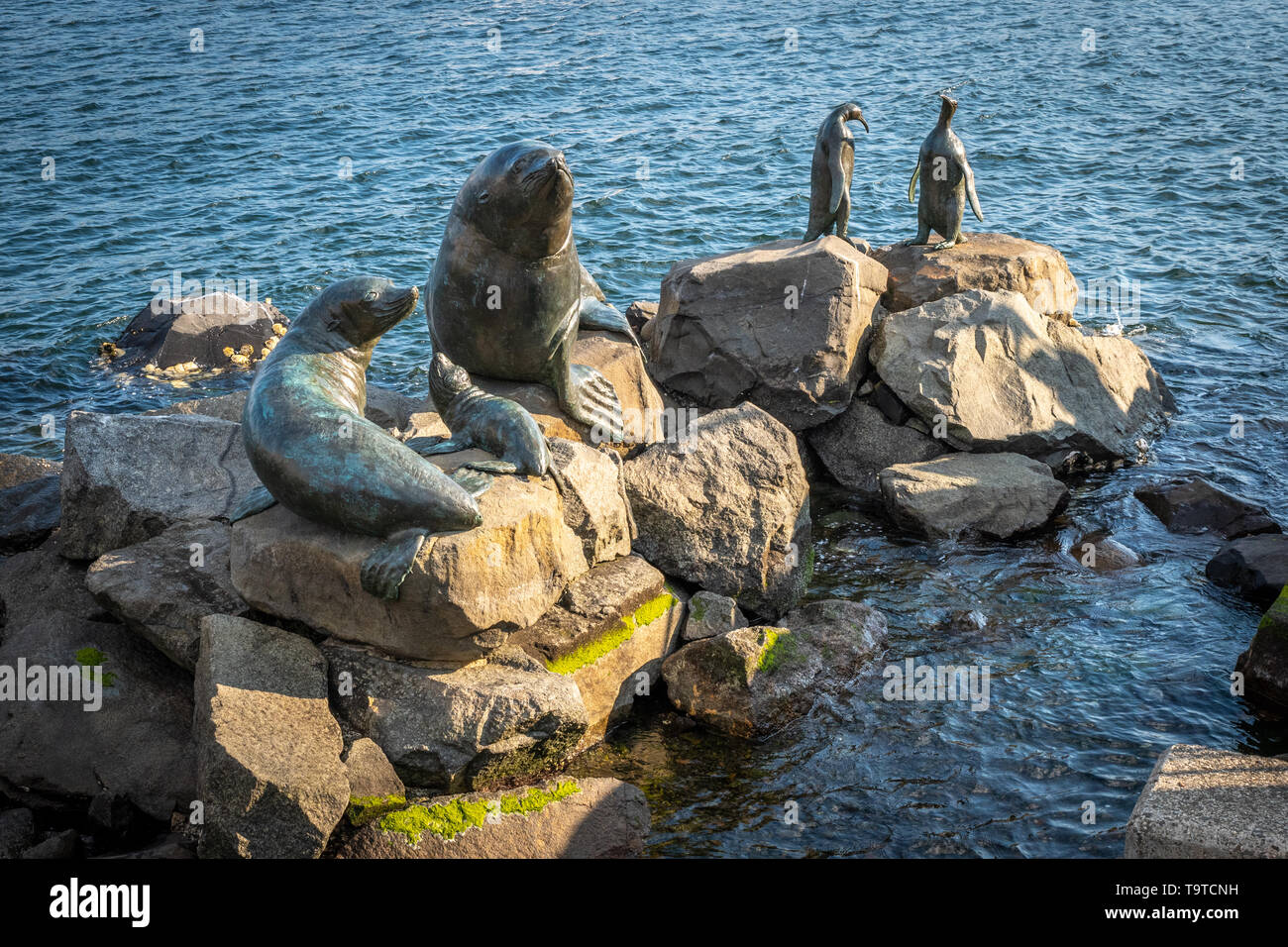 Wildlife Bronze Statues , Hobart Harbour Stock Photo - Alamy