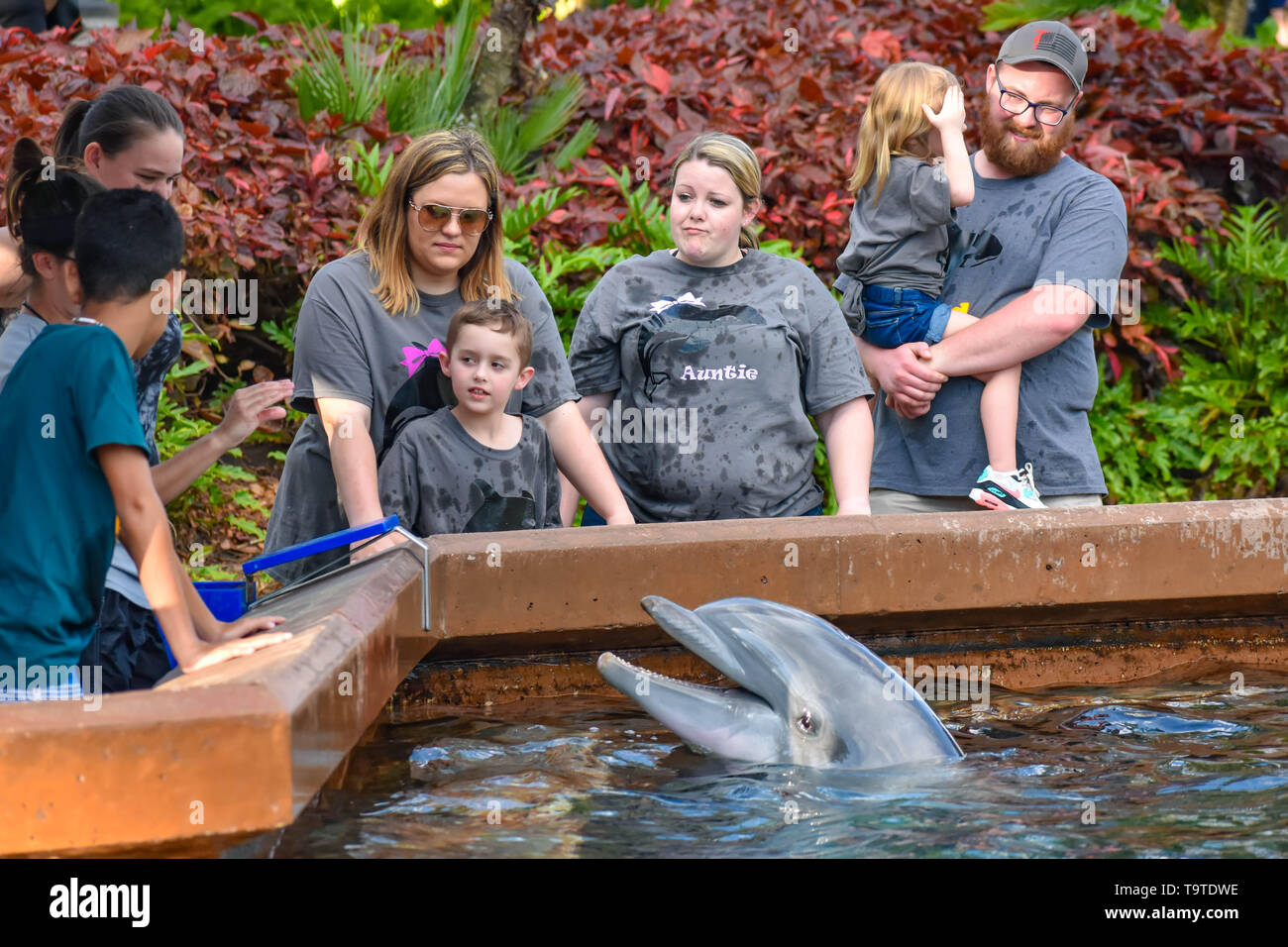 Orlando, Florida. March 09 2019. Family enjoying Bottlenose dolphin at ...