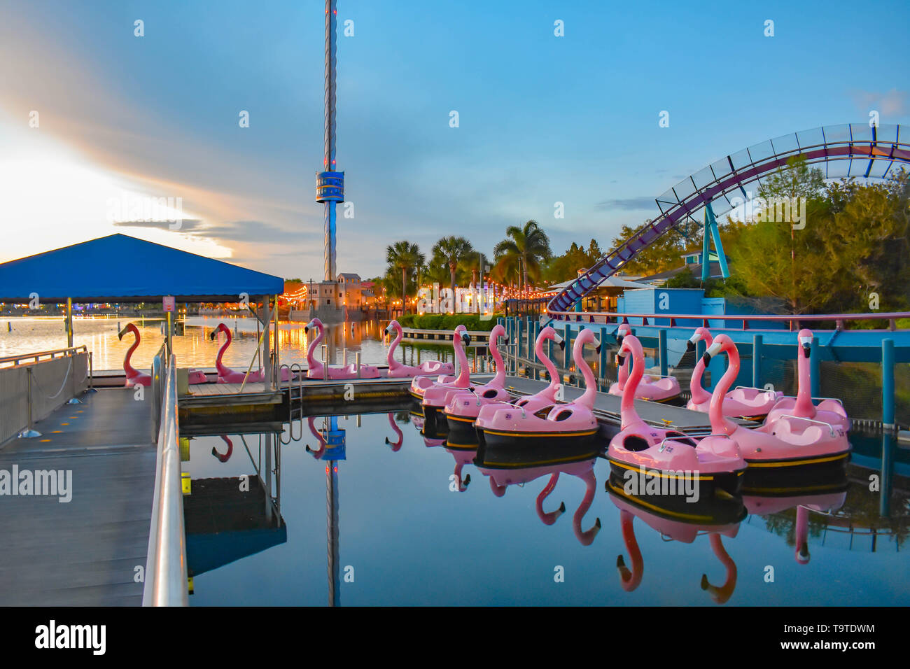 Orlando, Florida. March 09 2019. Panoramic view of Flamingo's paddle ...