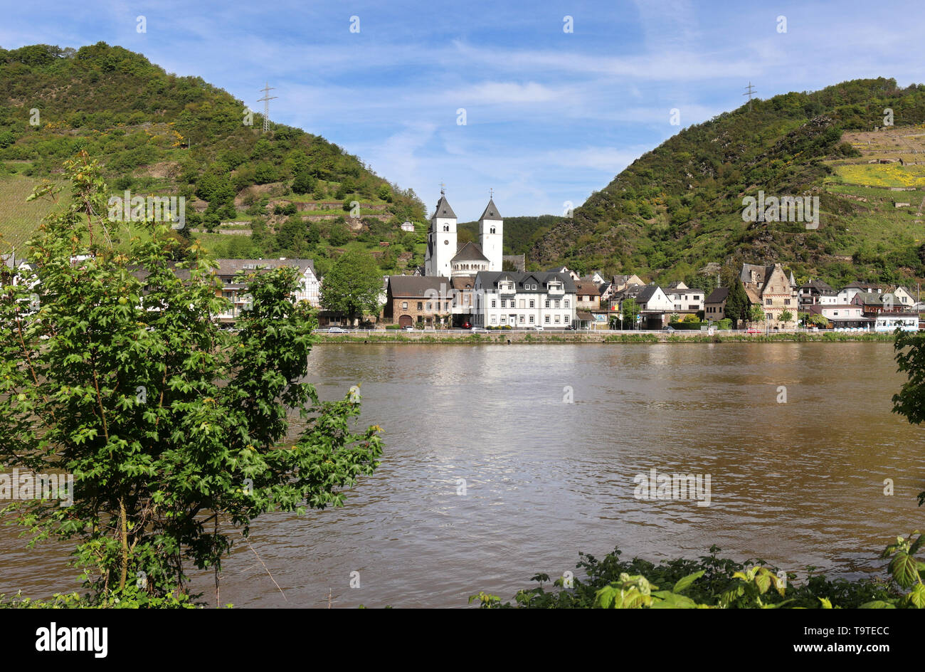 Trees karden hi-res stock photography and images - Alamy