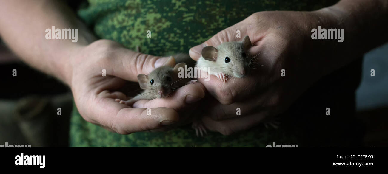 two little rats into strong caring men in the hands of military ...