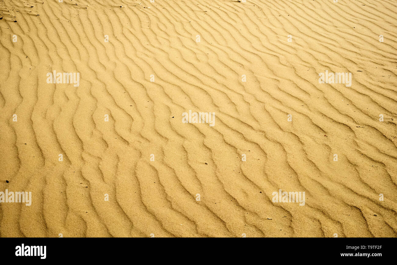 Beautiful patterns of sand dunes, formed by the wind on the sandy coast ...