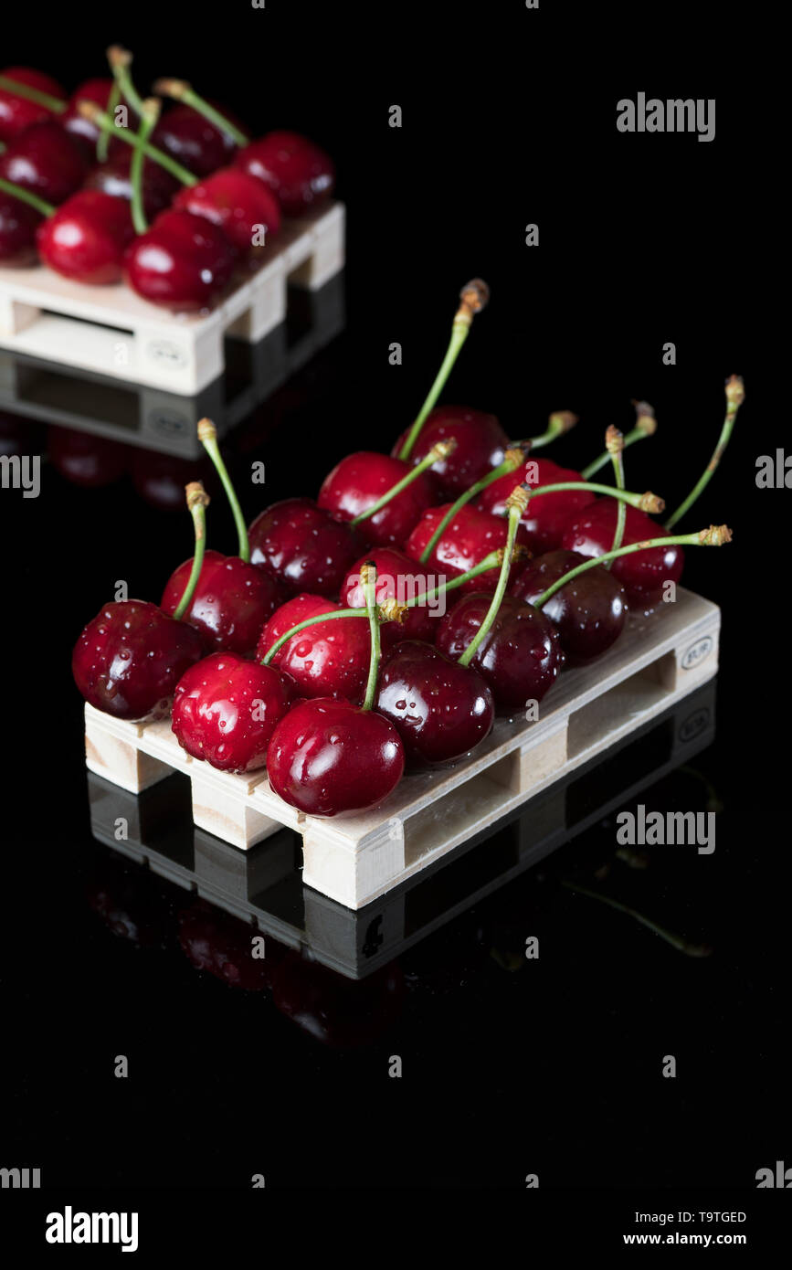 Dark red cherries hanging hi-res stock photography and images - Alamy