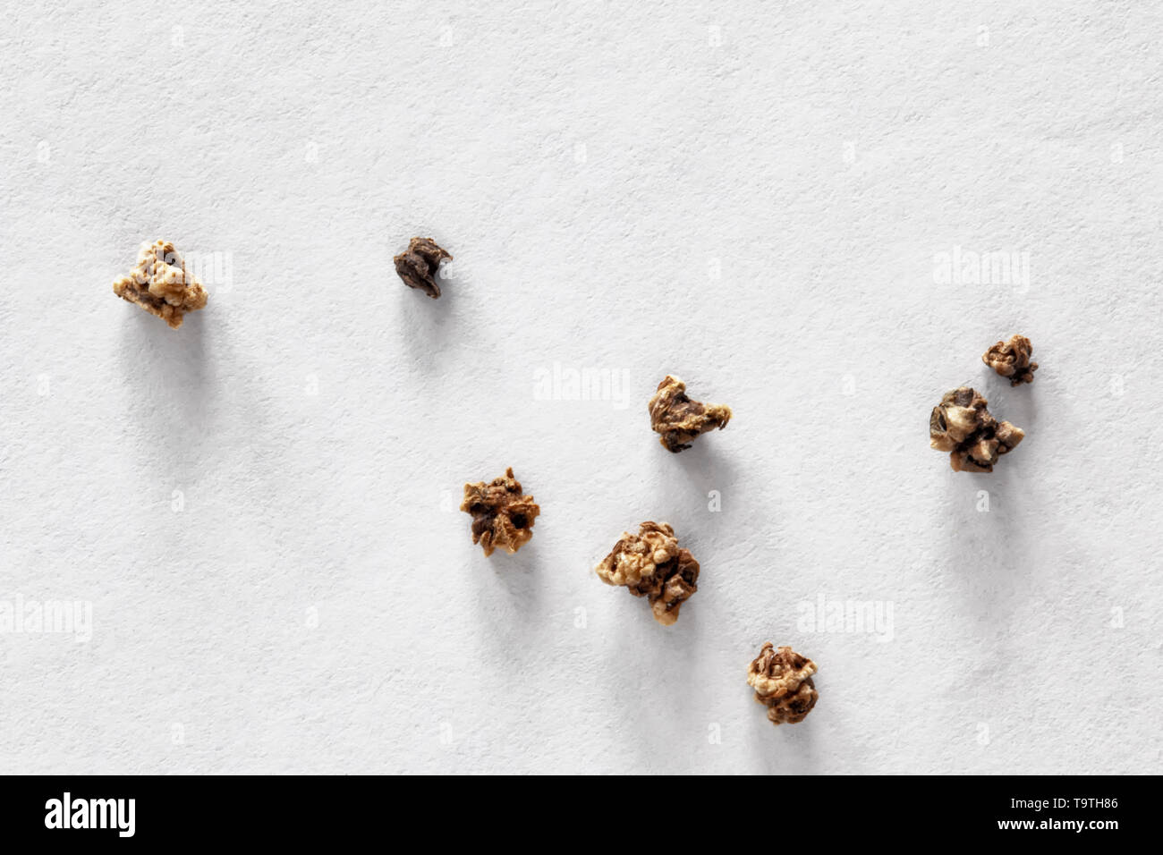 beetroot seeds on a white background Stock Photo - Alamy