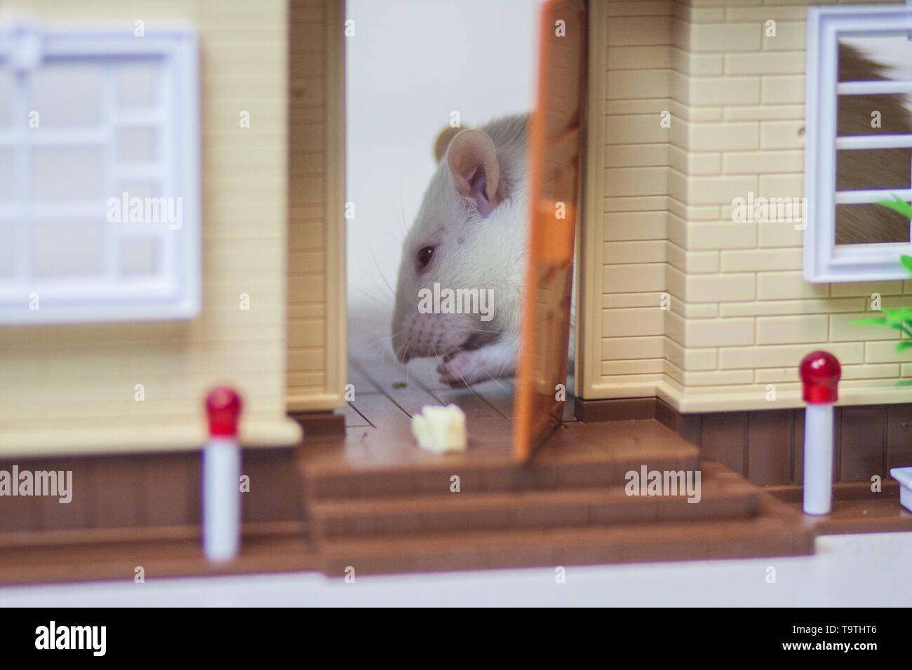 Stranger danger sign hi-res stock photography and images - Alamy