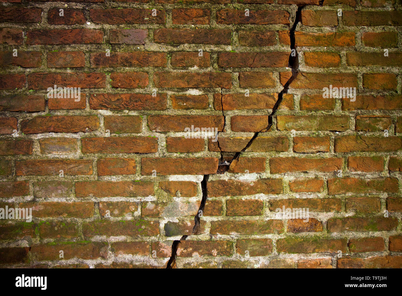 Deep Fissured High Resolution Stock Photography and Images - Alamy