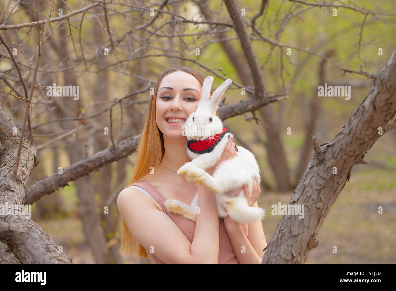 The girl is holding a white rabbit. Beautiful woman with a hare. Fluffy ...