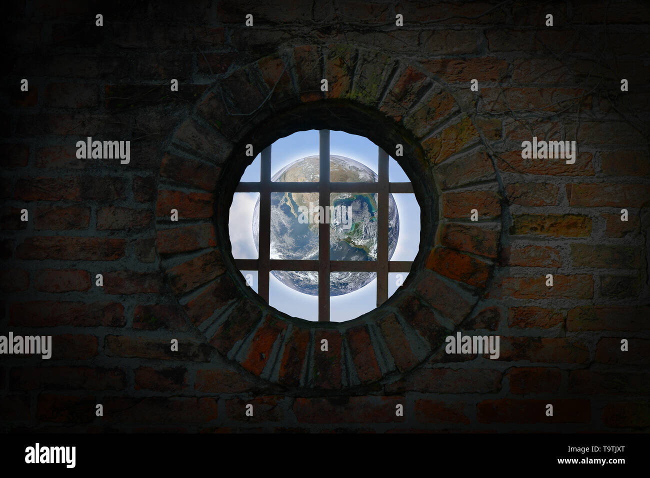 Freedom: the world through a grating Conceptual image of the world seen ...