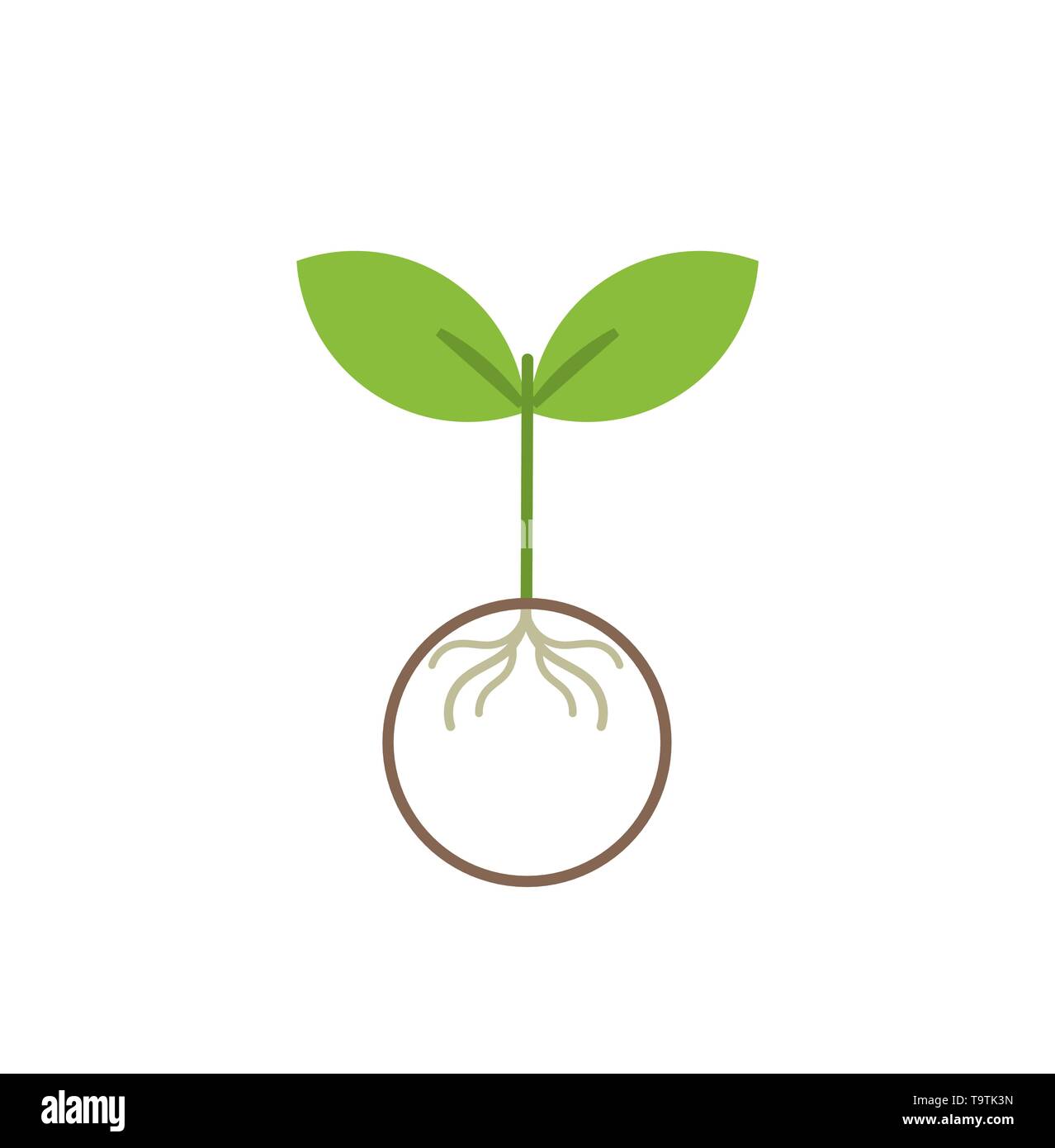 Little white seed bud Stock Vector Images - Alamy