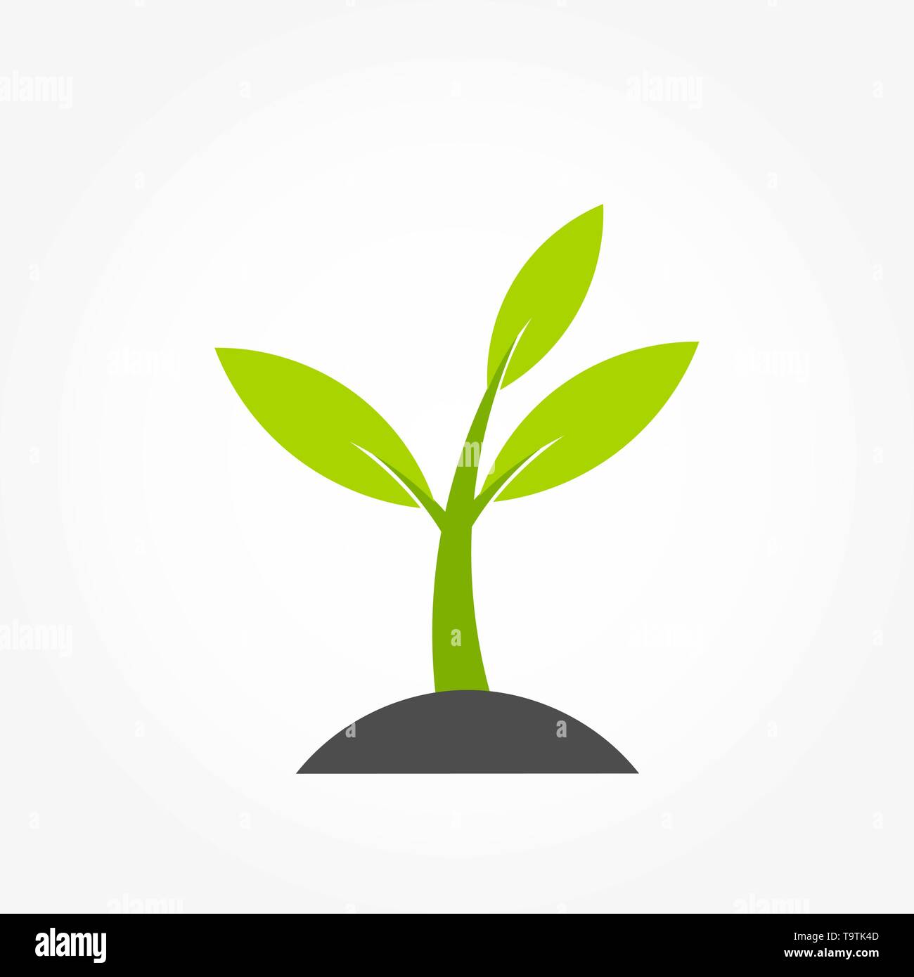 Little plant spring germination. Vector illustration Stock Vector Image ...