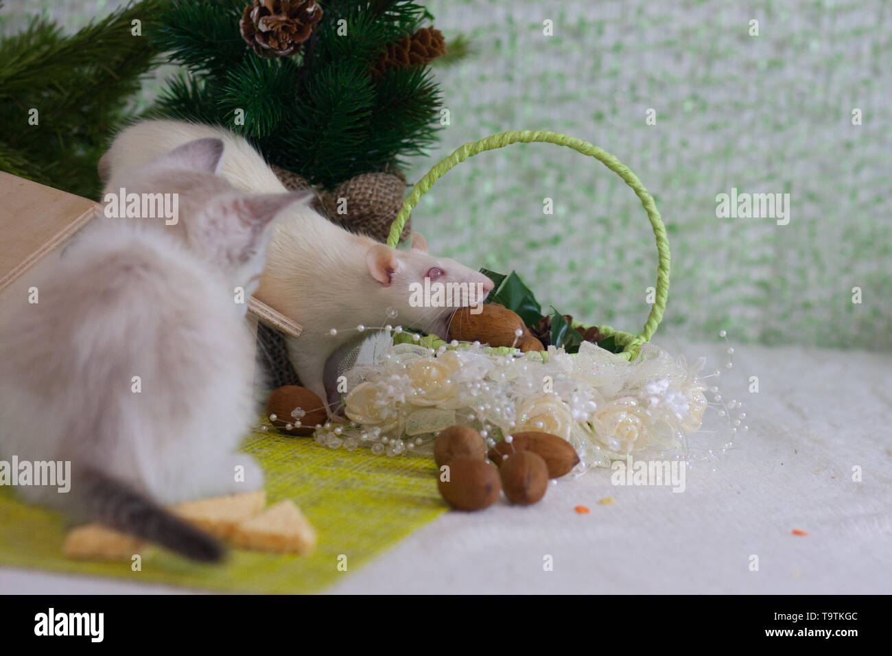 Stealing food sign hi-res stock photography and images - Alamy