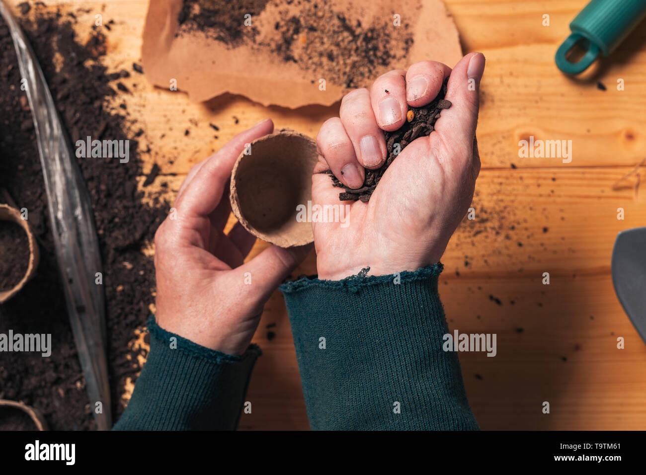 Gardener filling biodegradable soil pot container ready for sowing and ...