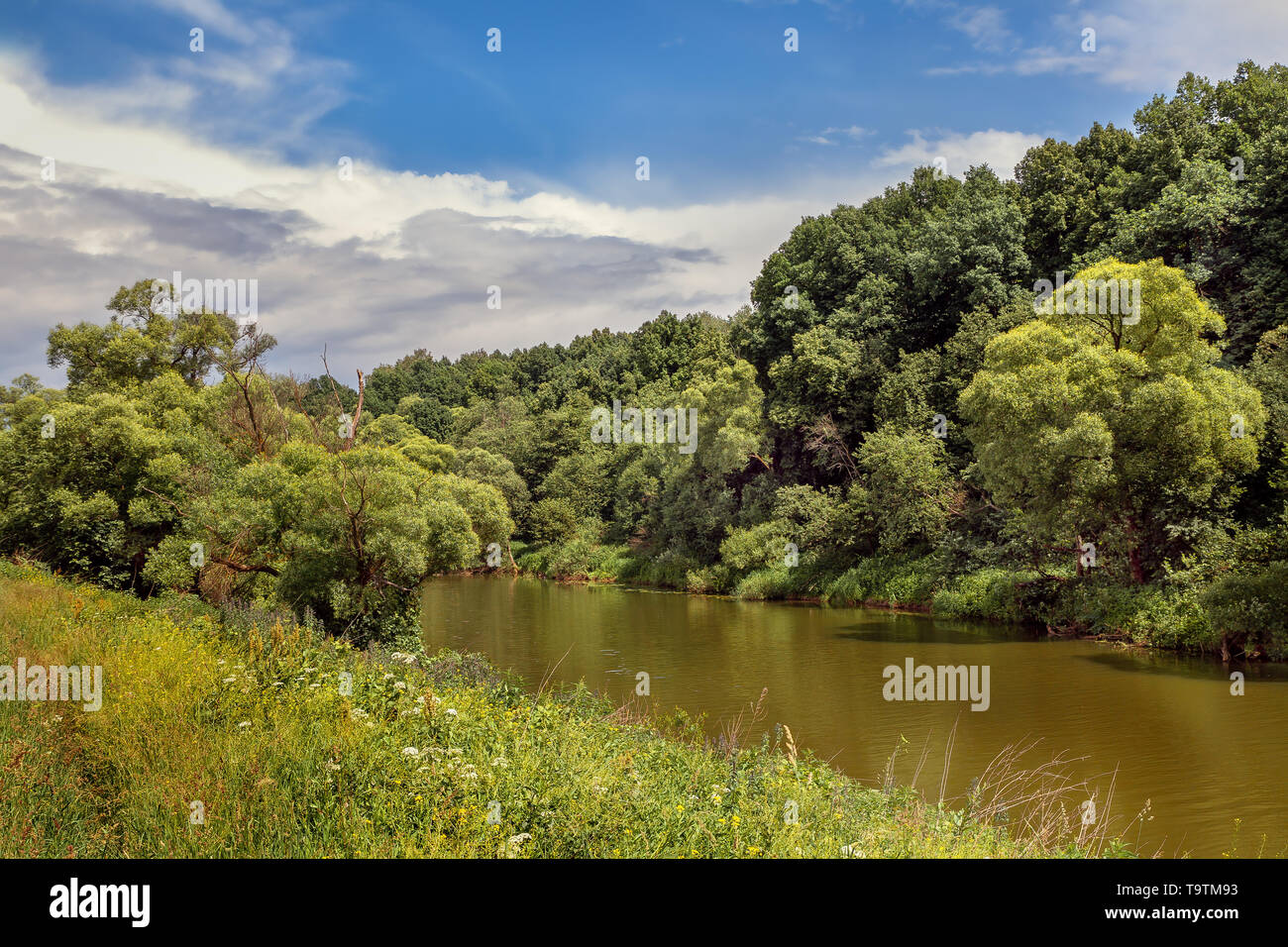 Moscow region hi-res stock photography and images - Alamy