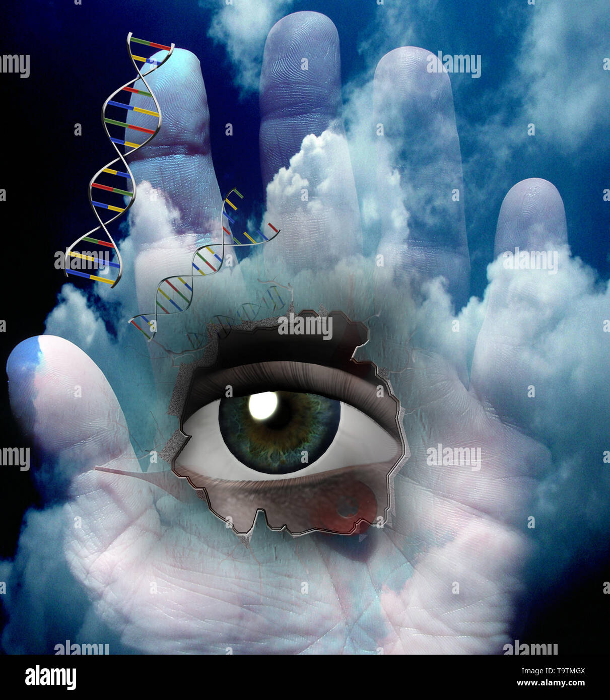 Human Genetic and other elements Stock Photo - Alamy