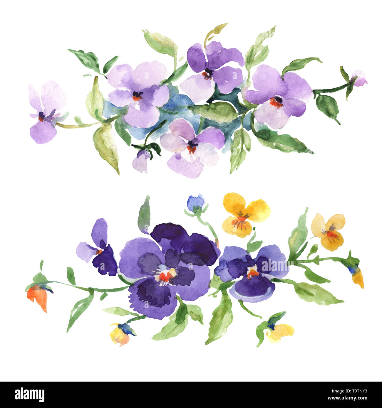 Bouquet floral botanical flowers. Watercolor background illustration ...