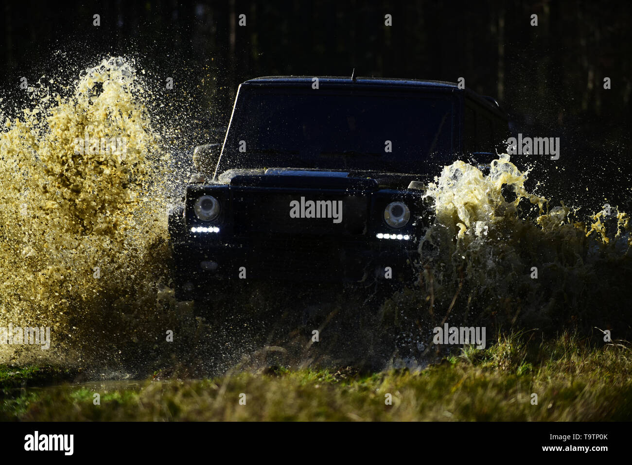 Offroad race on fall nature background. Extreme, challenge and 4x4 ...