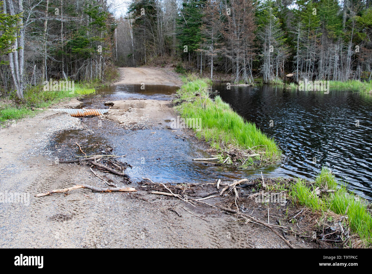 Logging pond hi-res stock photography and images - Alamy