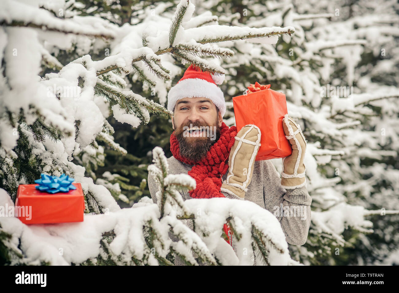 Boxing day party hi-res stock photography and images - Alamy