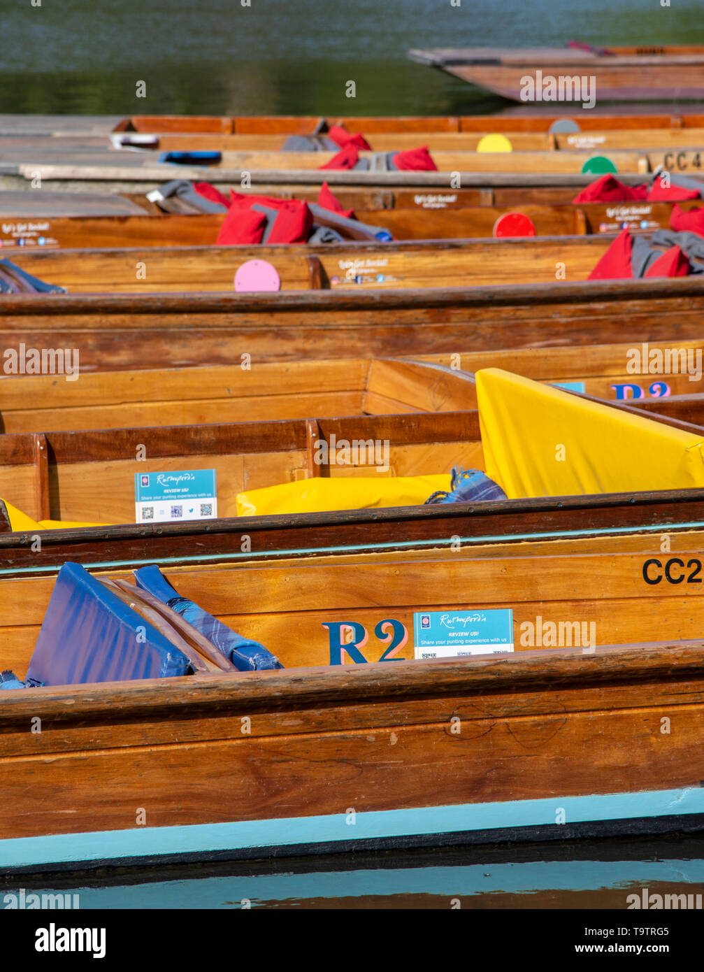 Punts punting river cam hi-res stock photography and images - Alamy