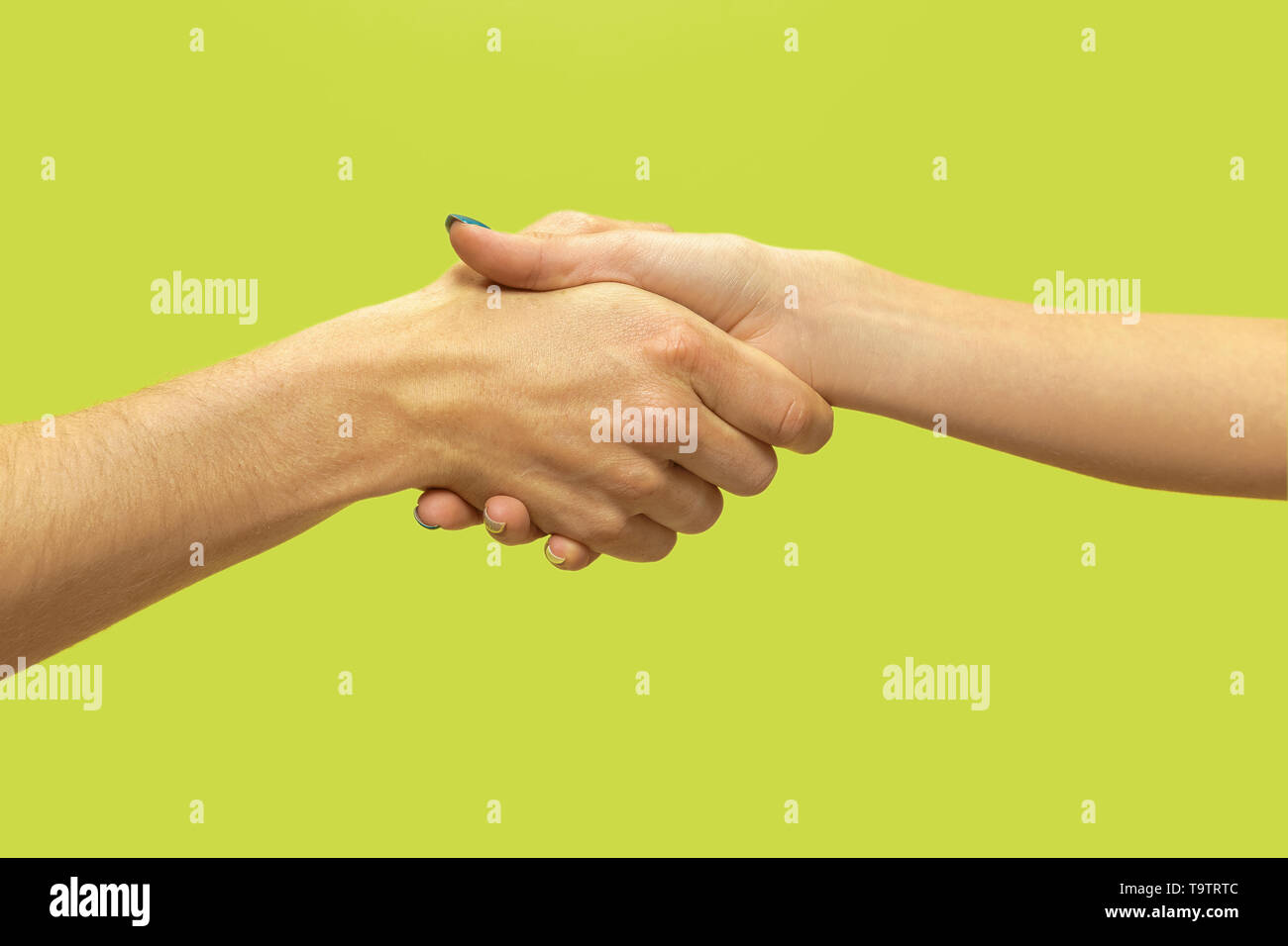 Closeup shot of human holding hands isolated on green studio background ...