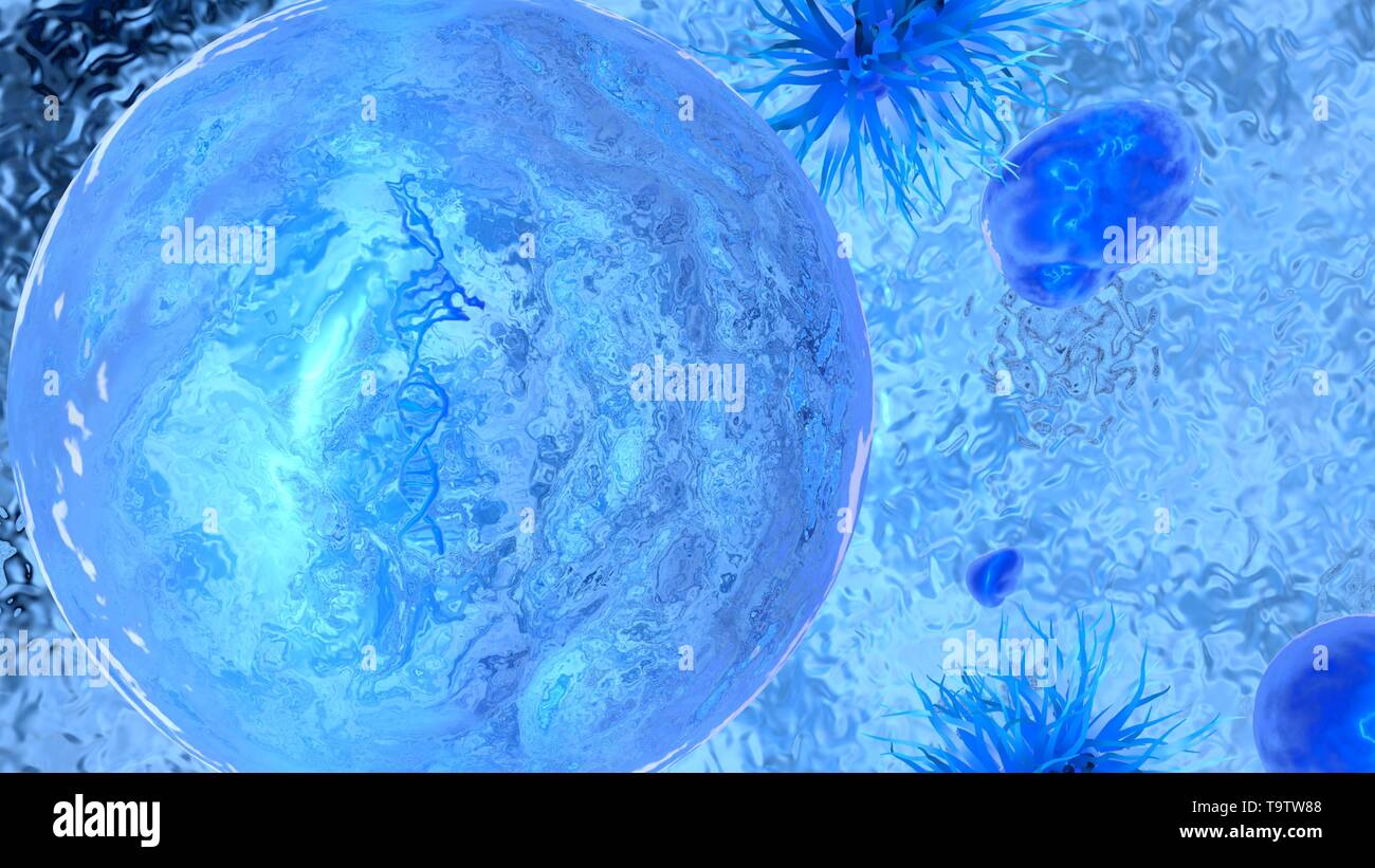 3D illustration of inside a living cell with the organelles, nuclear ...