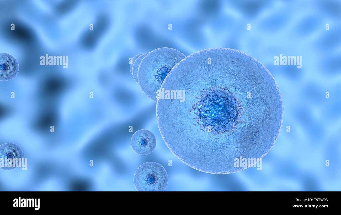 3D illustration of cell division process Stock Photo - Alamy