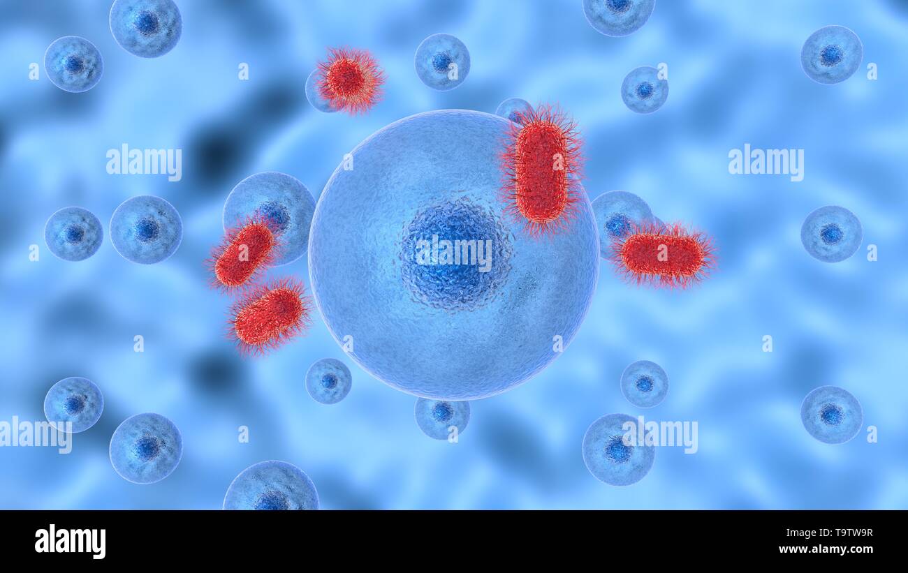 3D illustration of process infecting cell of pathogenic microorganisms ...
