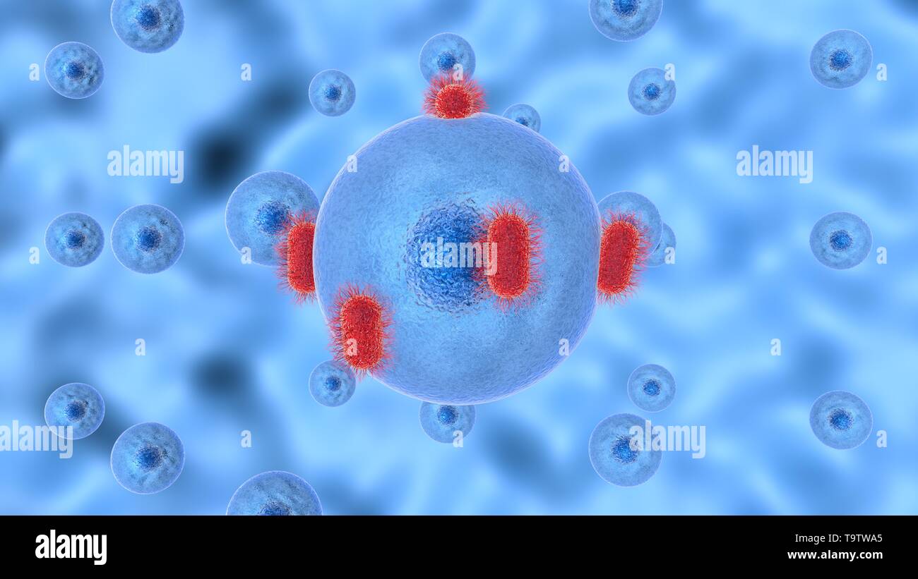 Pathogenic Microorganisms High Resolution Stock Photography and Images - Alamy