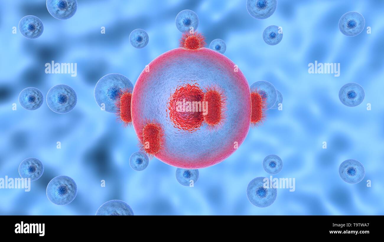 3D illustration of process infecting cell of pathogenic microorganisms ...
