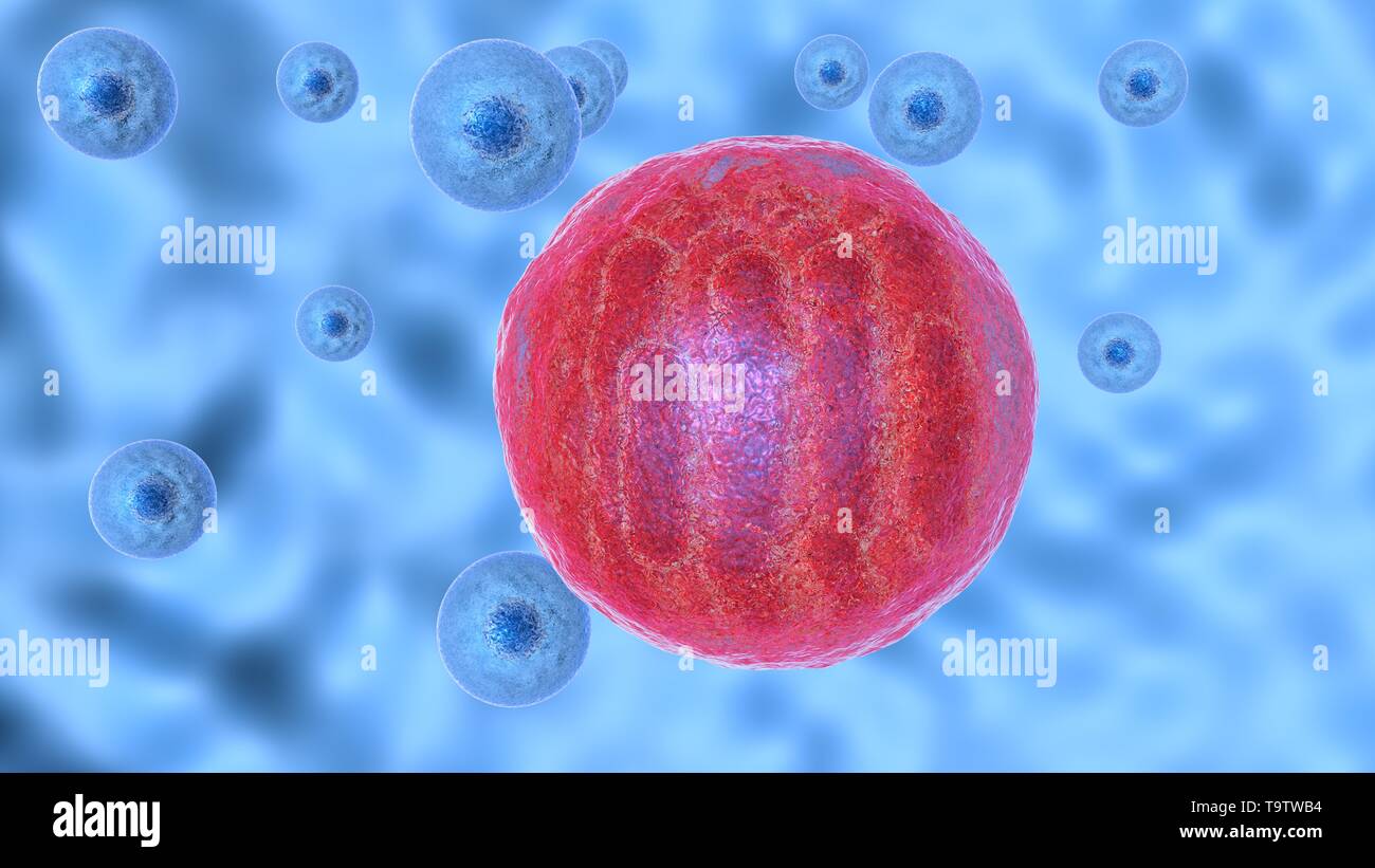 3D illustration of process infecting cell of pathogenic microorganisms ...