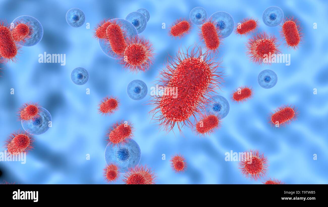 3D illustration of process infecting cell of pathogenic microorganisms ...
