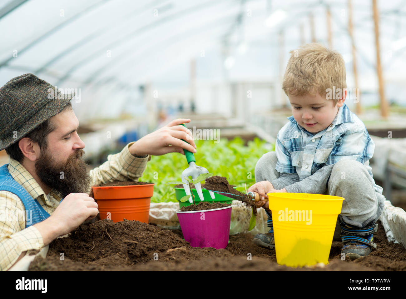 bio fertilizer. father and son put into the soil bio fertilizer. bio ...