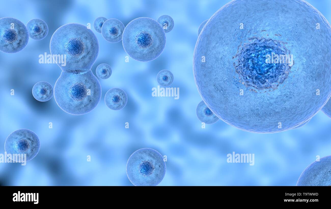 3D illustration of cell division process Stock Photo - Alamy