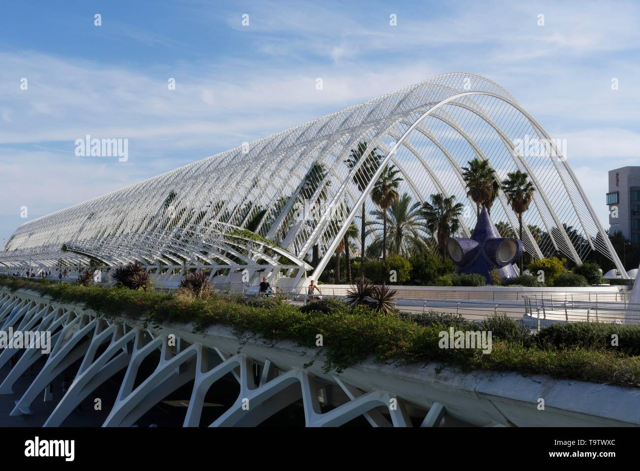 Valencia botanical garden spain valencia gardens hi-res stock ...