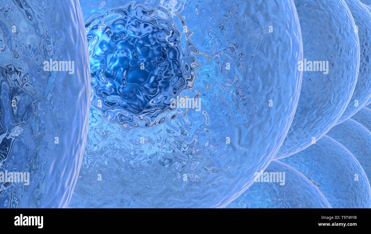3D illustration of cell division process Stock Photo - Alamy