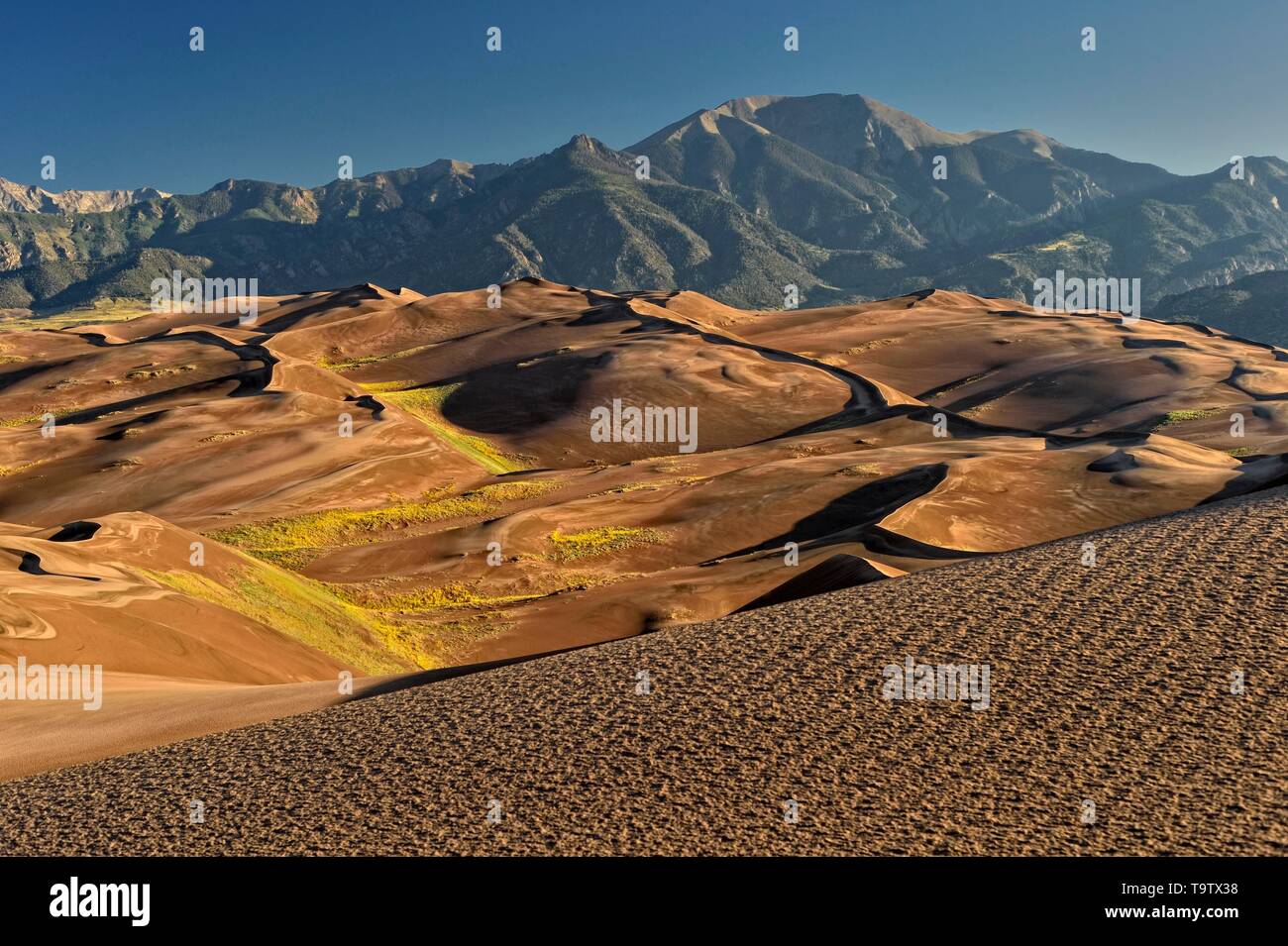 Dune landscape, Great Sand Dunes National Park, Mosca, Colorado, USA ...