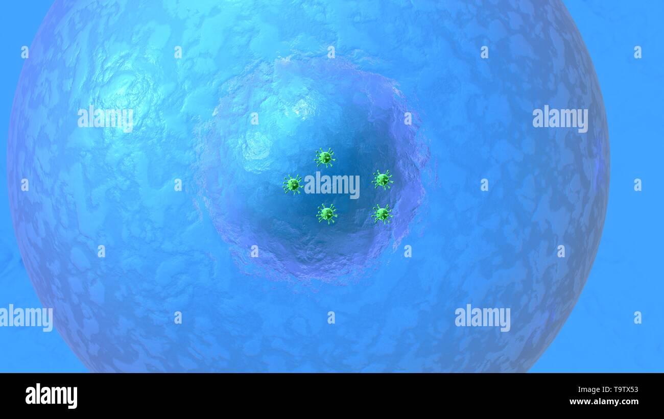 3D illustration of cell infected process by viruses Stock Photo - Alamy